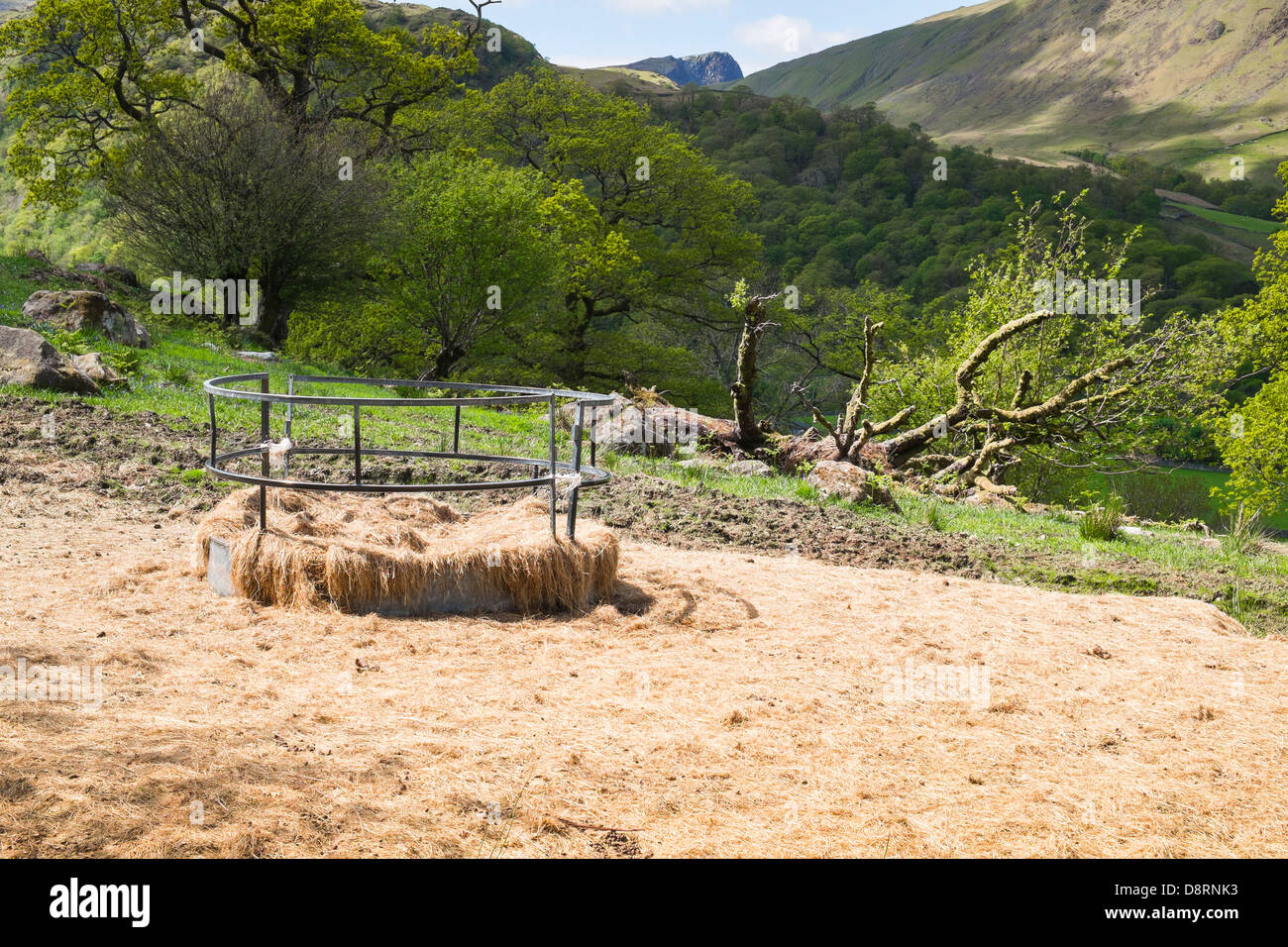 Hay pen on the hillside in the Lake District Stock Photo - Alamy