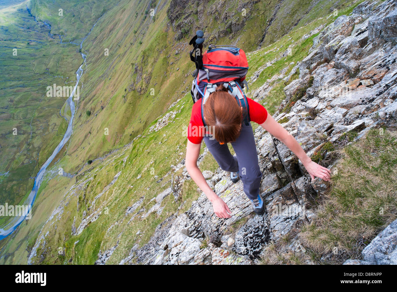 A hiker climbing Cam Crag Ridge in the Langstrath valley leading to the ...