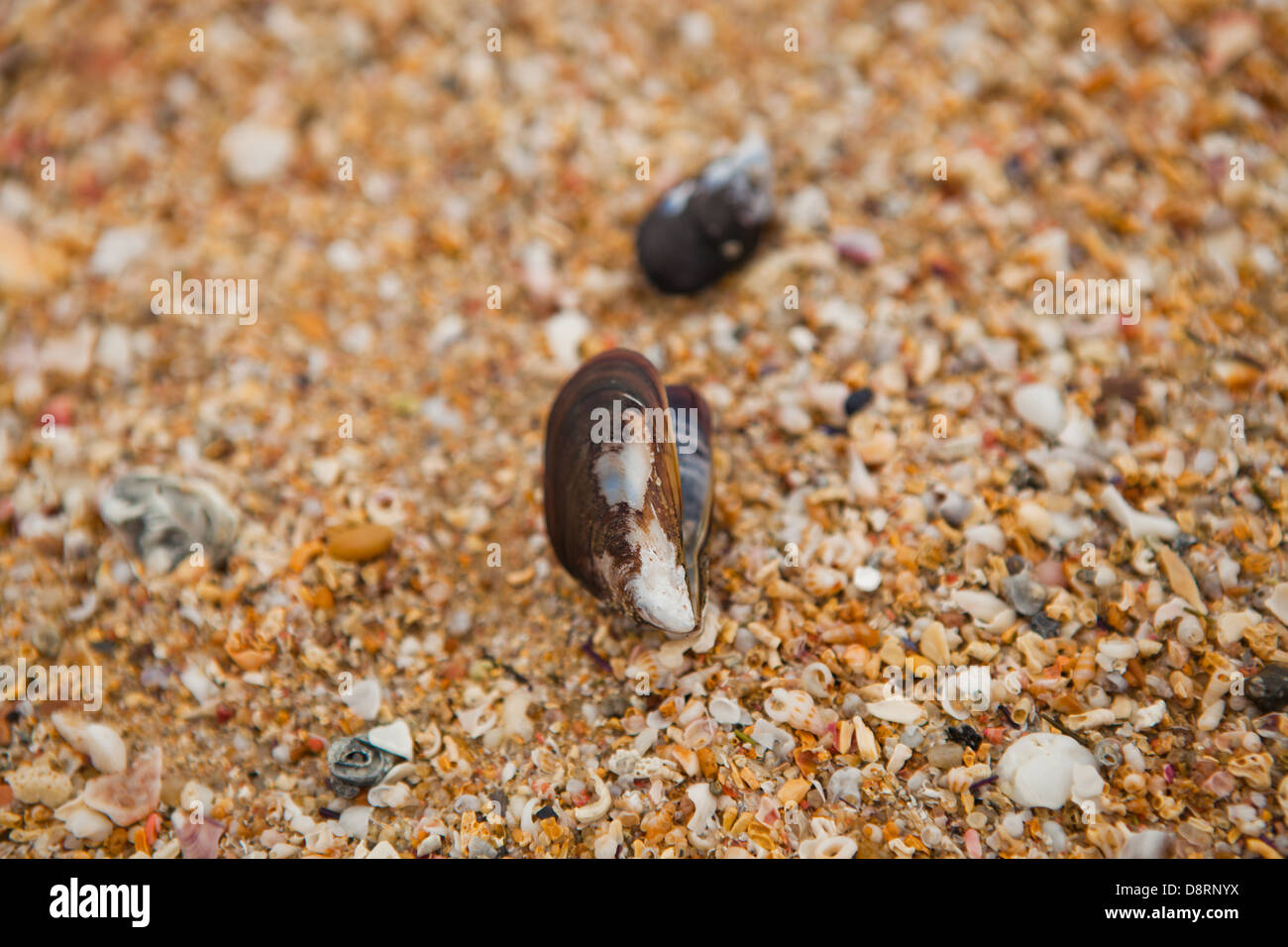 Surround the beach hi-res stock photography and images - Alamy