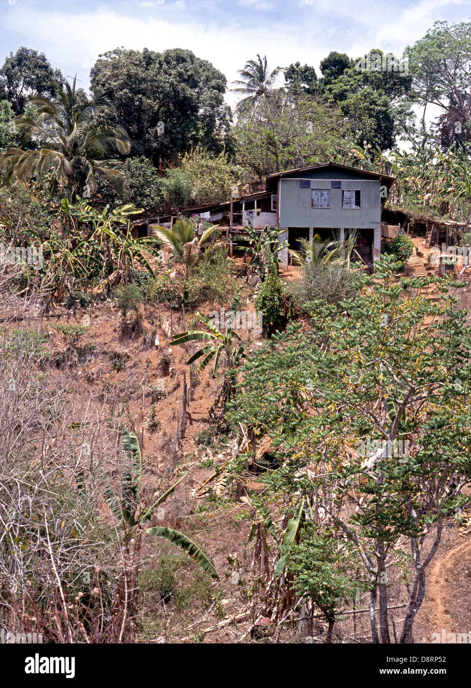 Farm house built on pillars on hillside, Mount Irvine Bay, Tobago ...