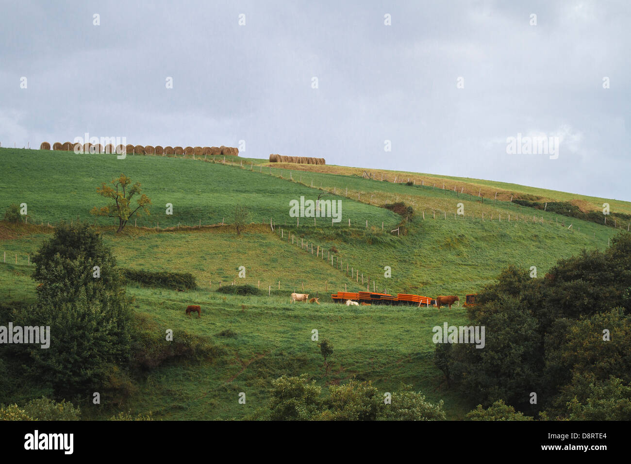 Green hill in Spanish basque country Stock Photo - Alamy