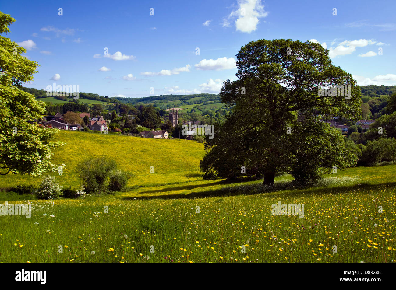 Church of St John the Baptist viewed through trees and meadow at ...