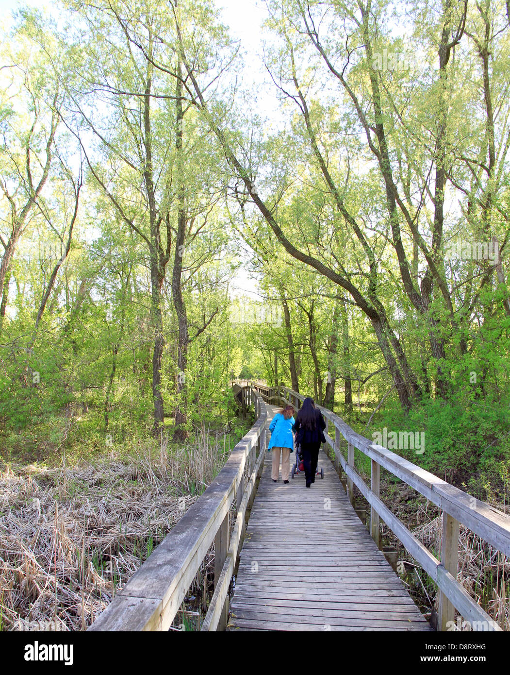 Walking in the park Stock Photo - Alamy