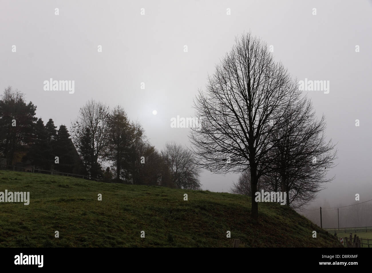 Fog landscape in November, Hagen, Germany Stock Photo - Alamy