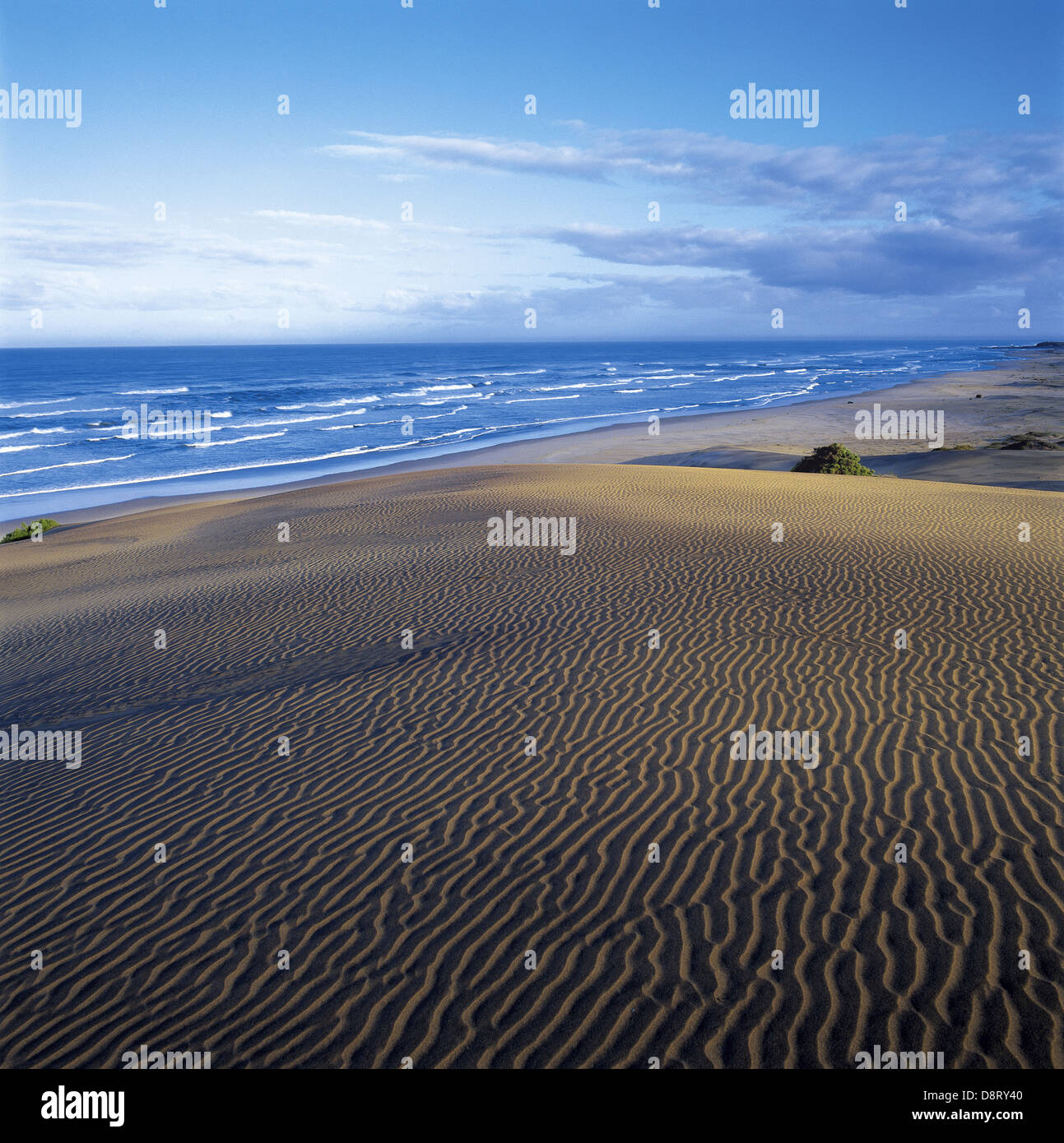 Sand Patterns, West Coast, South Africa Stock Photo - Alamy