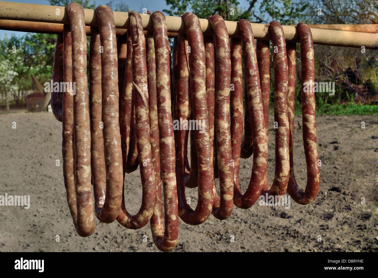 homemade sausage for Easter Stock Photo - Alamy