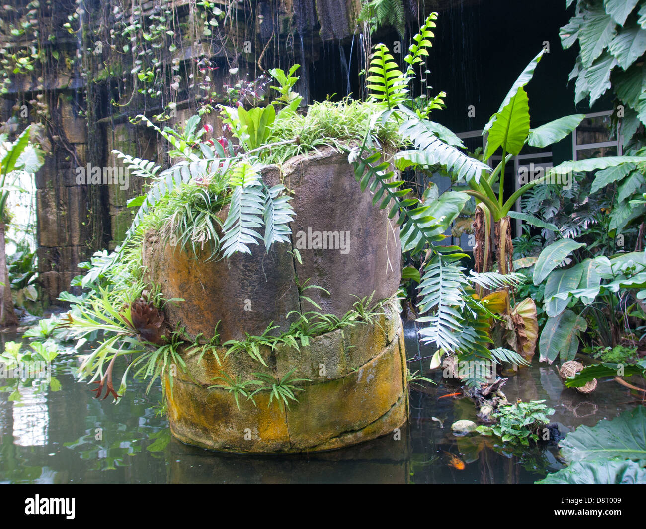 Parc Phoenix, Nice. French Riviera, Alpes-Maritimes, France Stock Photo ...