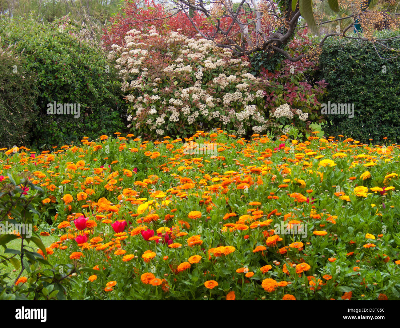 Parc Phoenix, Nice. French Riviera, Alpes-Maritimes, France Stock Photo ...