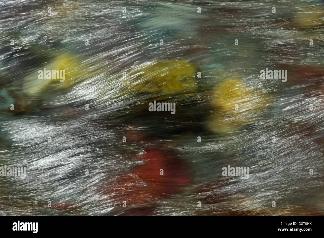 Stones and rapids in the shallows of the Two Medicine River Glacier ...