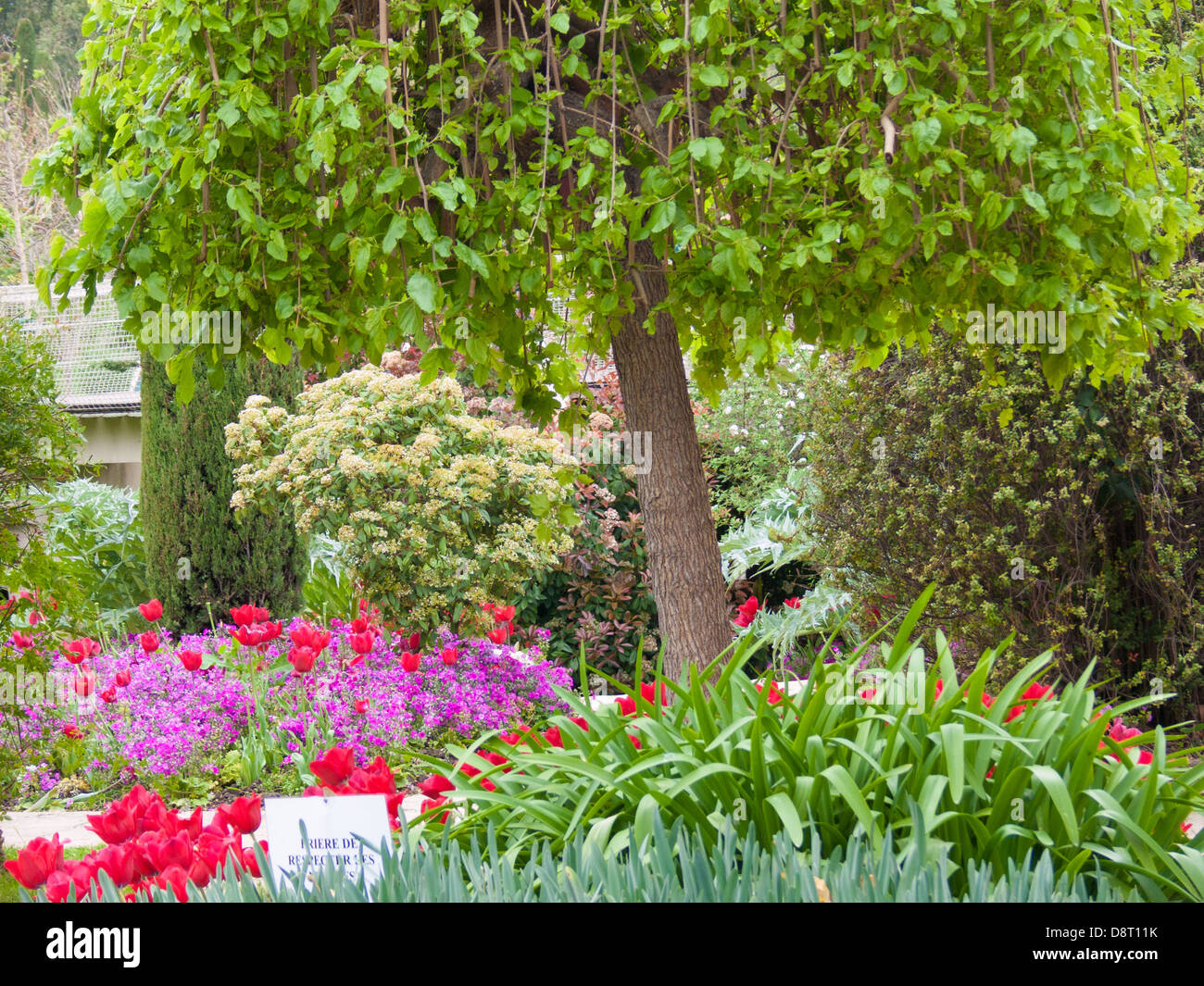 Parc Phoenix, Nice. French Riviera, Alpes-Maritimes, France Stock Photo ...