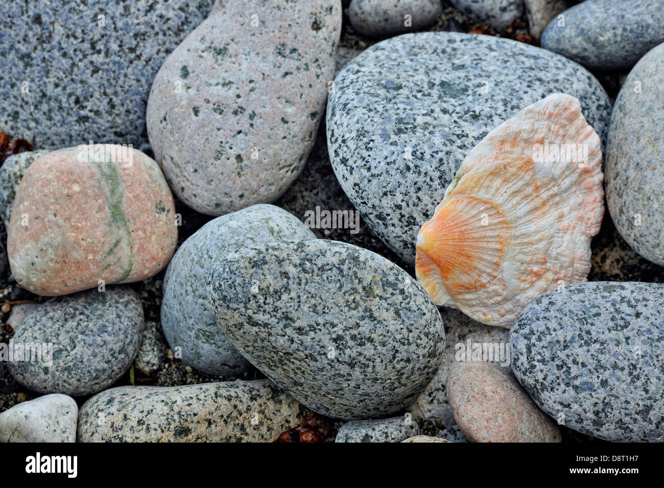 Beach stones on Burnaby Island Haida Gwaii Queen Charlotte Islands ...