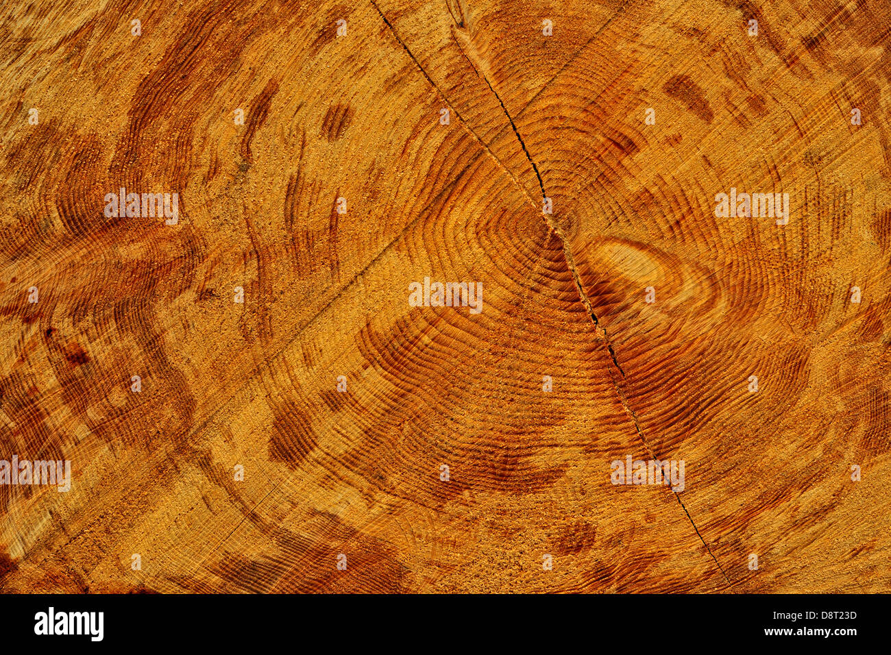 Softwood textures hi-res stock photography and images - Alamy