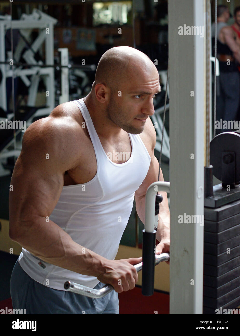 bodybuilder in gym Stock Photo - Alamy
