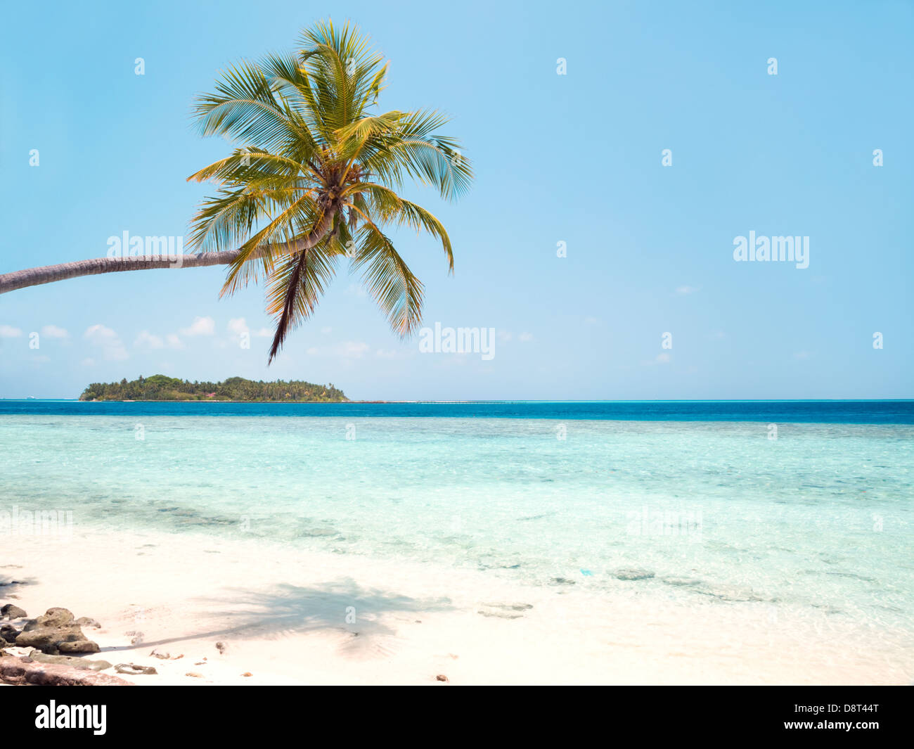 Maldives sea tree hi-res stock photography and images - Alamy