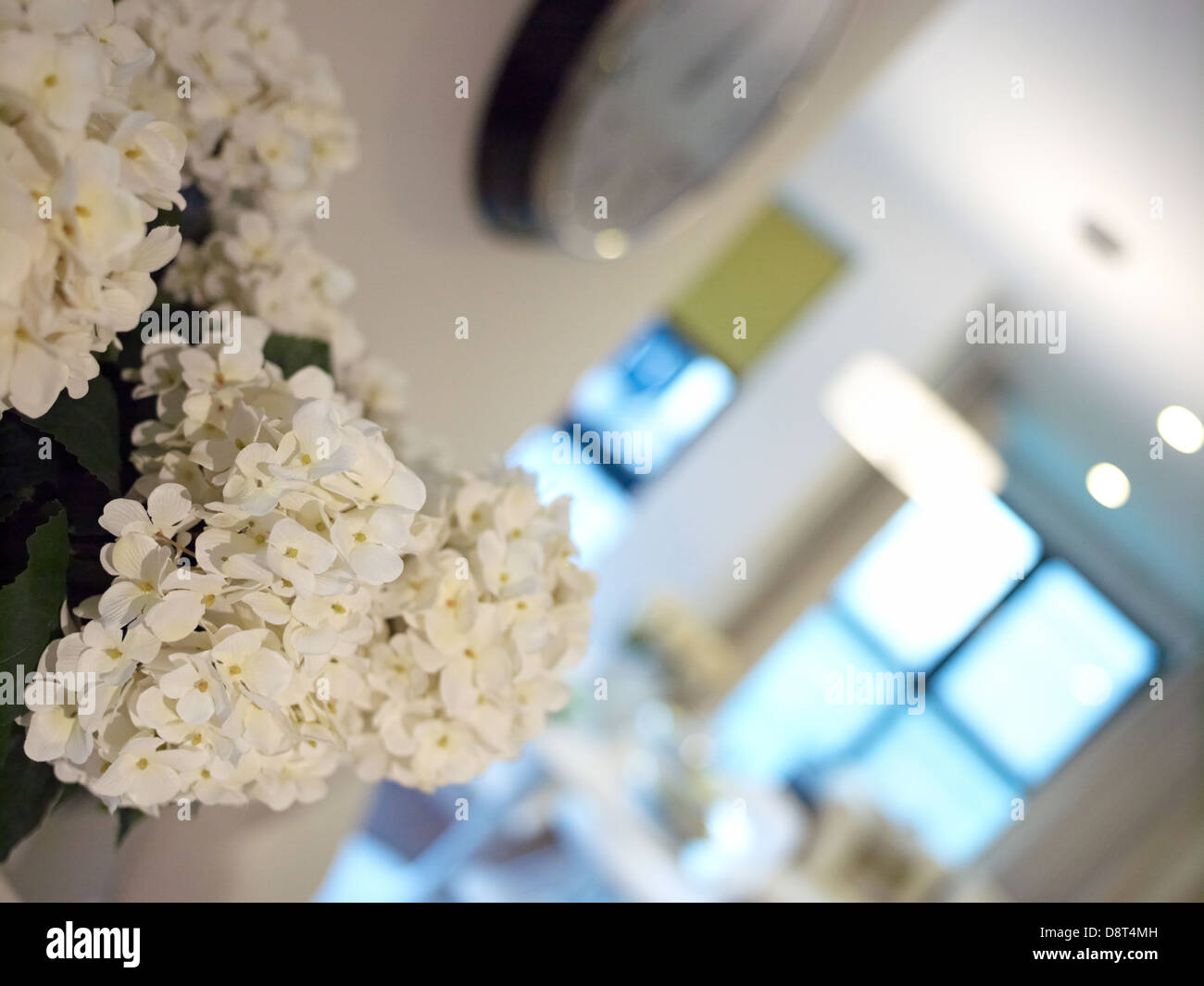 Flowers on the side Stock Photo - Alamy