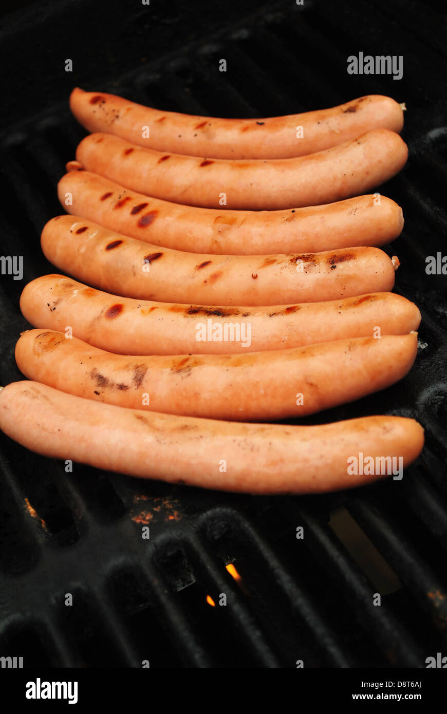 Multiple dogs hi-res stock photography and images - Alamy