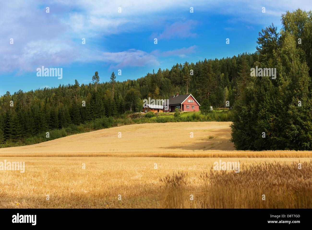 Farmhouse on field Stock Photo - Alamy