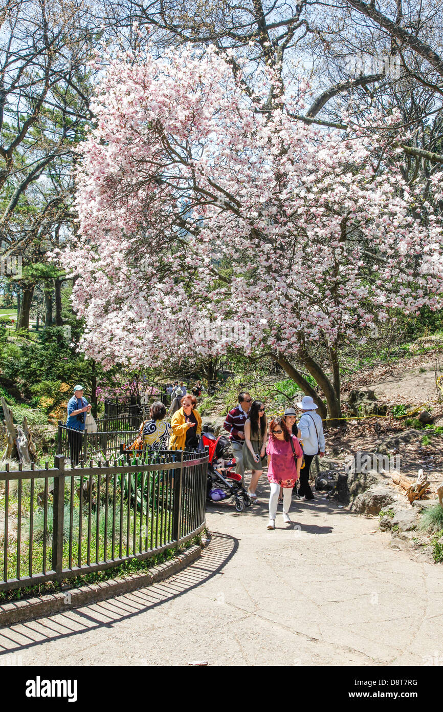 Toronto;Ontario;Canada;High Park a Public Park in Toronto in the Spring ...