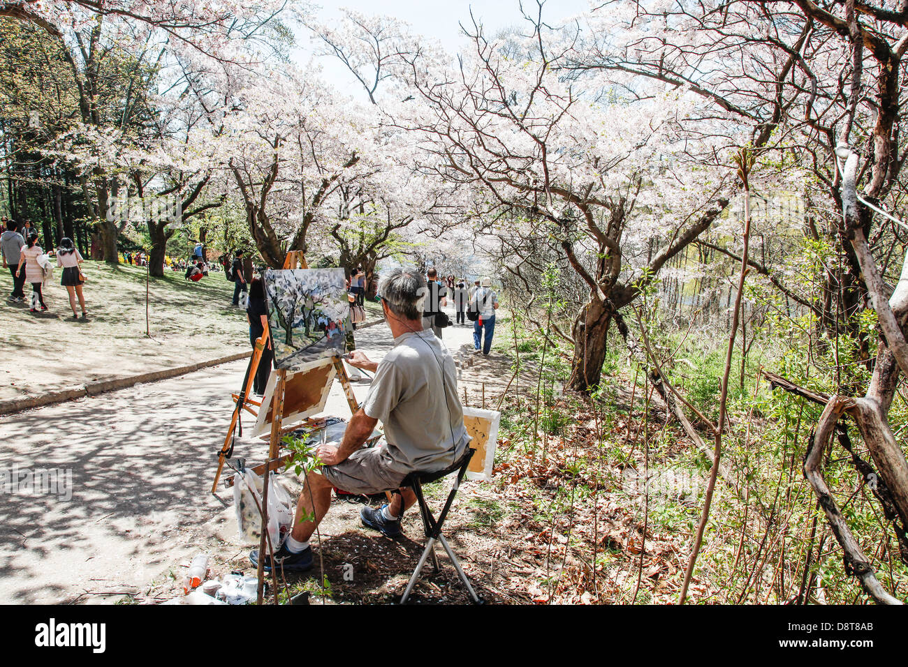 Toronto;Ontario;Canada;High Park a Public Park in Toronto in the Spring ...