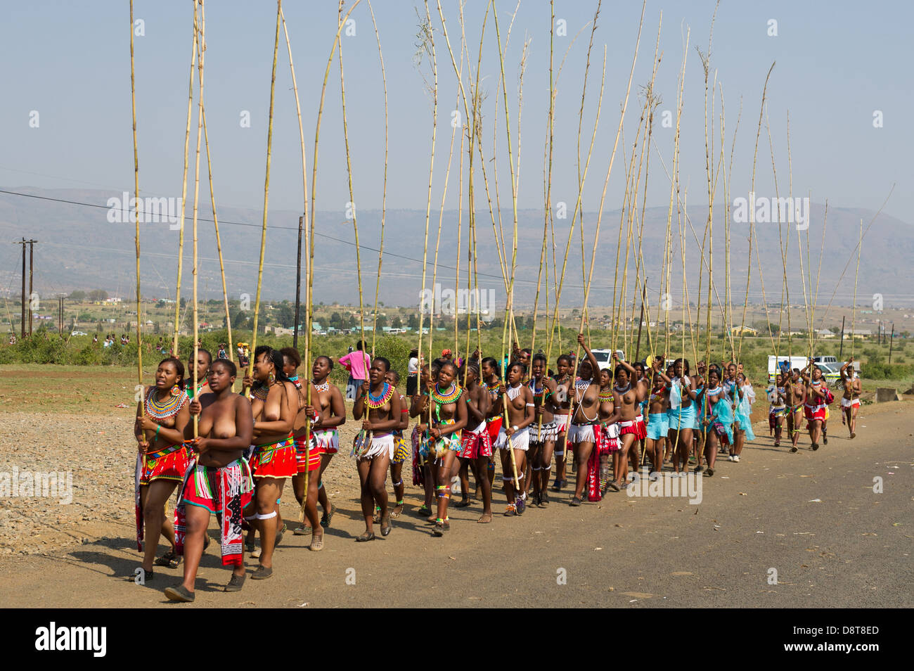 Zulu reed dance hi-res stock photography and images - Alamy