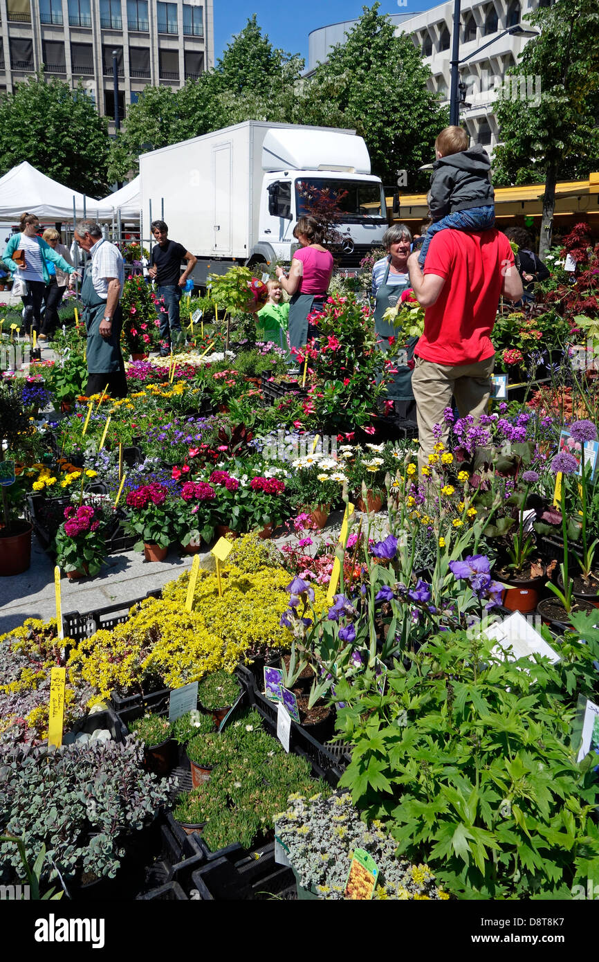 Stand with colourful flowers at flower market in spring Stock Photo - Alamy