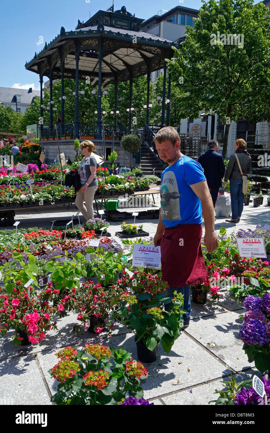 Stallholder working on stand with colourful flowers at the flower ...