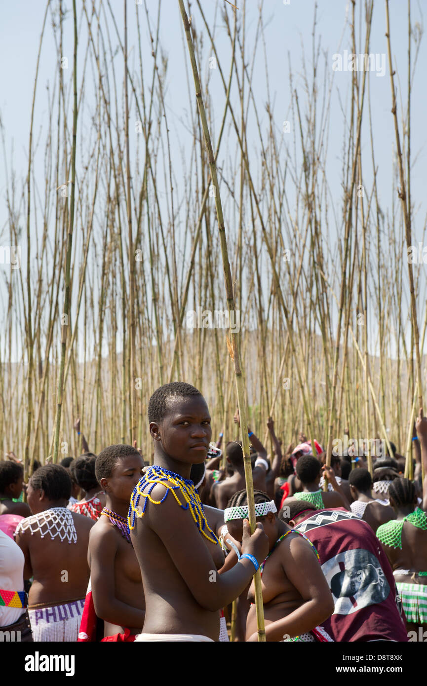 Zulu maidens deliver reed sticks to the King, Zulu Reed Dance at ...
