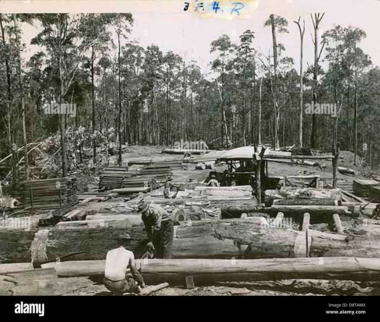 This black-and-white archival photograph captures the timber mill ...