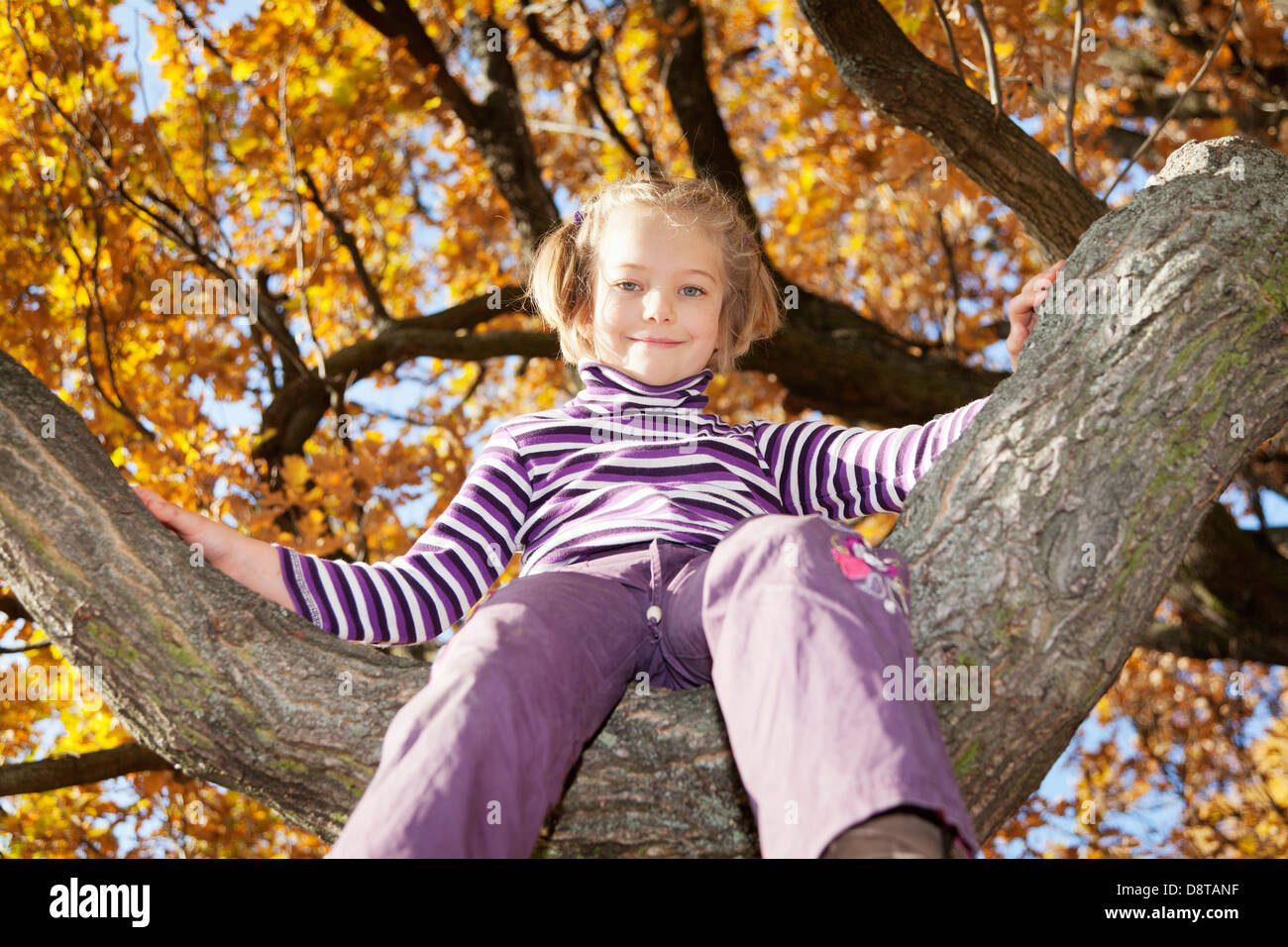 Six year-old girl sitting on a tree in autumn Stock Photo - Alamy