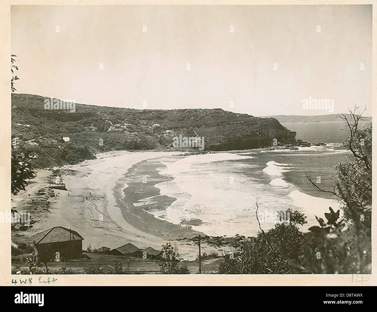 Sydney whale beach hi-res stock photography and images - Alamy