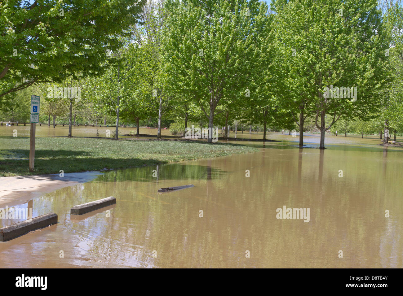 A river flooded park and parking lot in summer Stock Photo - Alamy