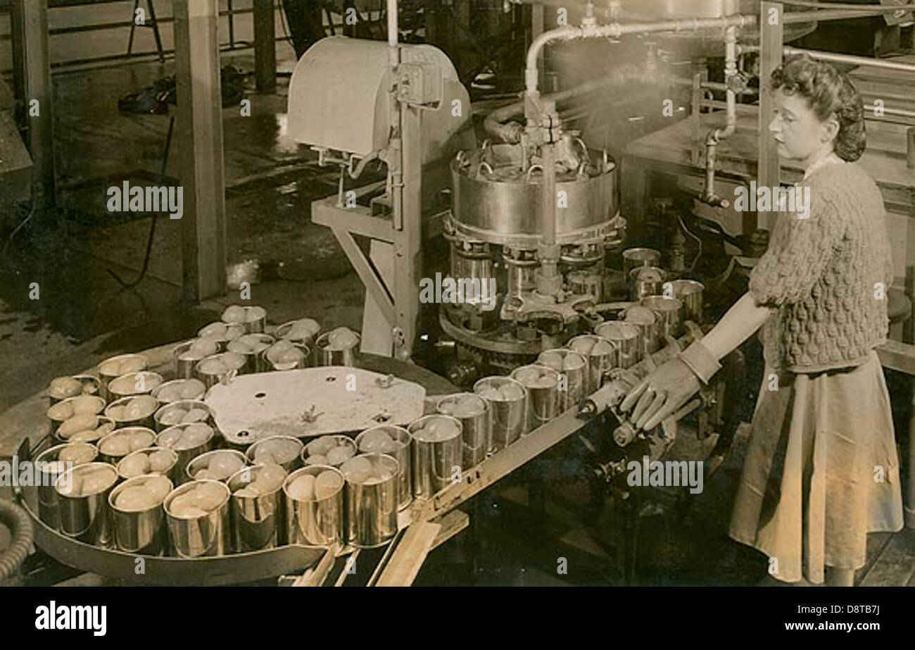 Working at the cannery Stock Photo - Alamy