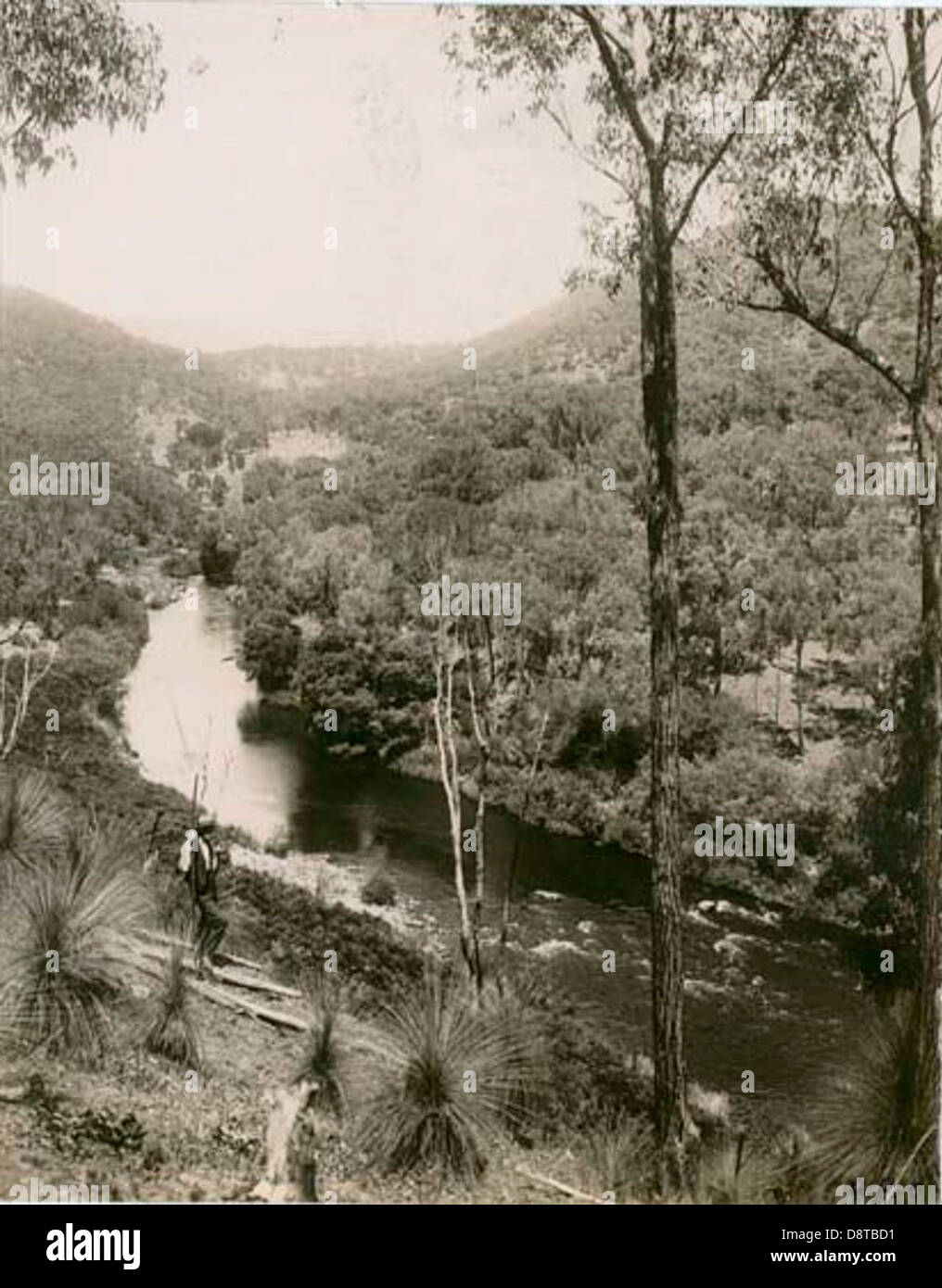 The Tumut archives in the Riverina region of New South Wales contain ...