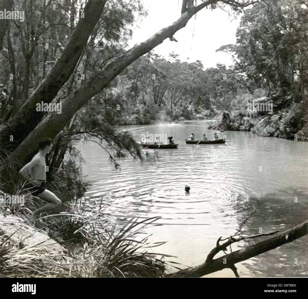 Lane Cove National Park Stock Photo - Alamy