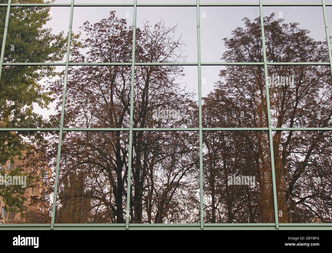 Windows and trees hi-res stock photography and images - Alamy