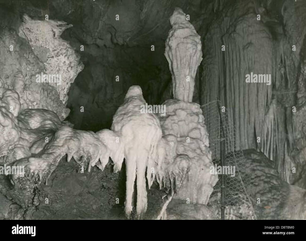 The Wombeyan Caves in the Southern Highlands of New South Wales are ...
