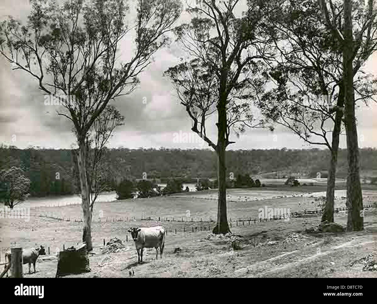 Nowra hi-res stock photography and images - Alamy