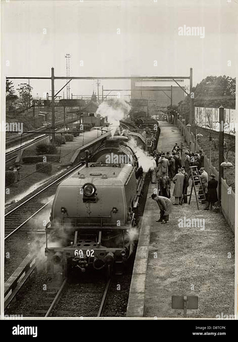 Garratt locomotive hi-res stock photography and images - Alamy