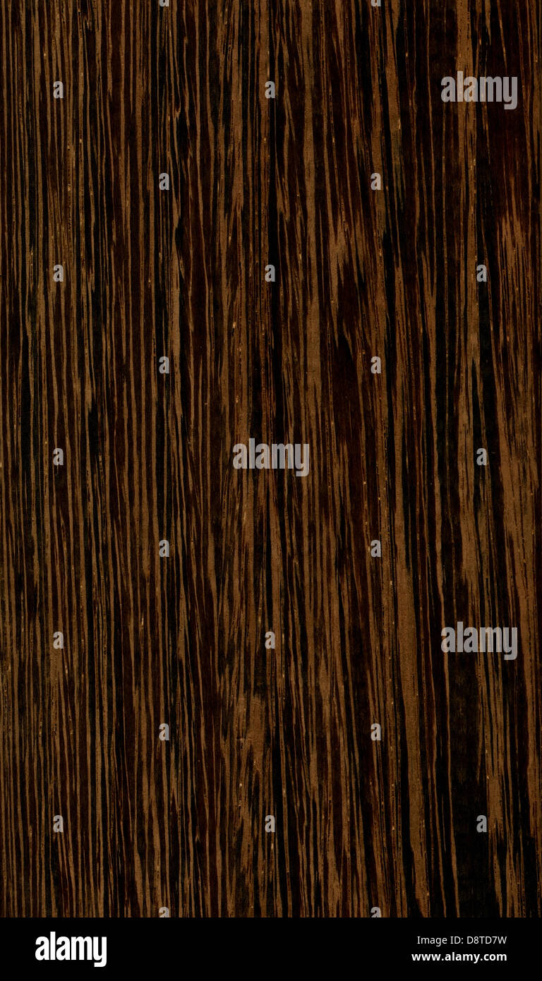 Wenge