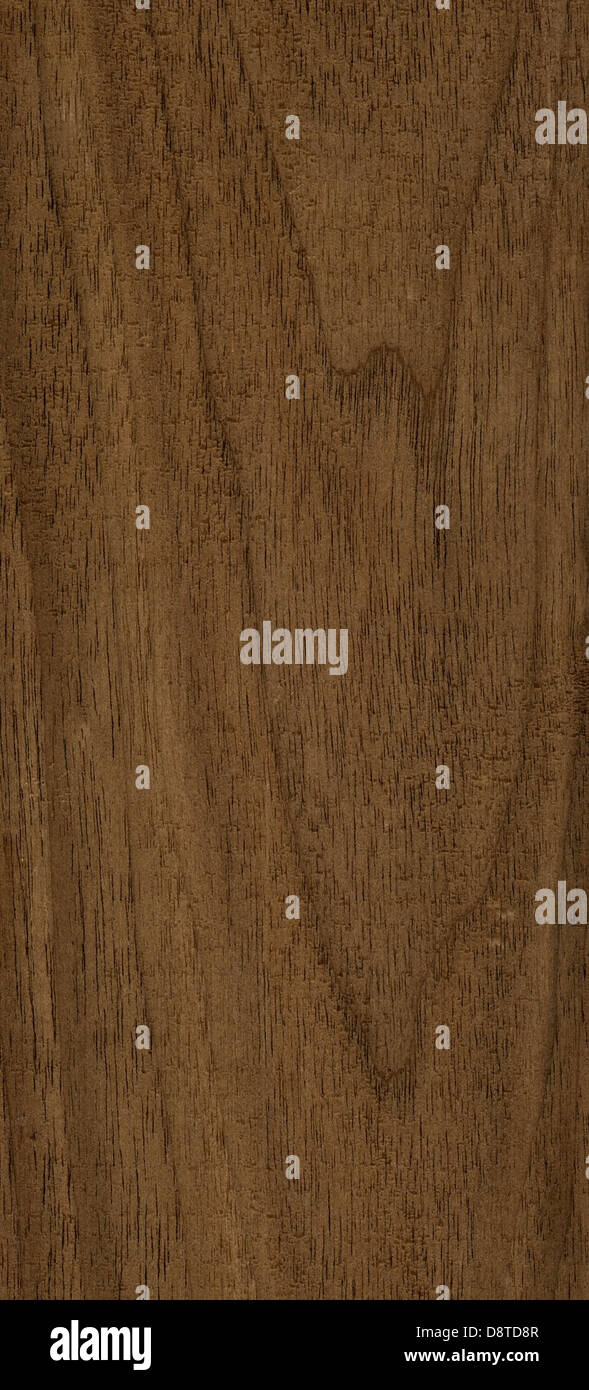 high resolution walnut wood texture Stock Photo - Alamy