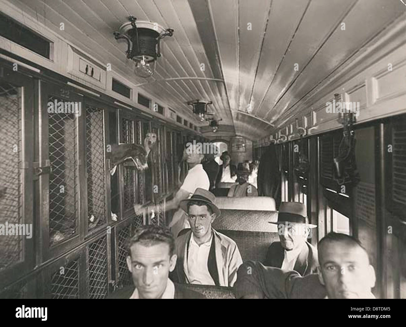 RG Greyhound Railway Carriage Stock Photo - Alamy