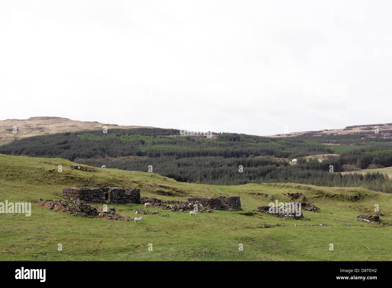 Dervaig area, Isle of Mull, Scotland, May 2013 Stock Photo - Alamy