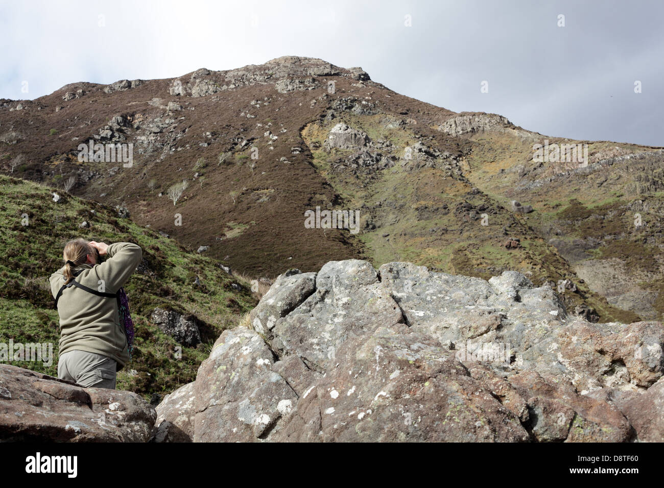 Carsaig, Isle of Mull, Scotland, May 2013 Stock Photo - Alamy