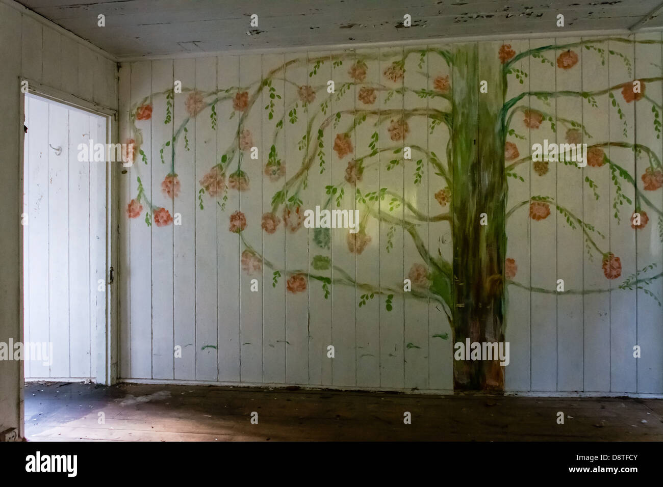 Lady arran hi-res stock photography and images - Alamy