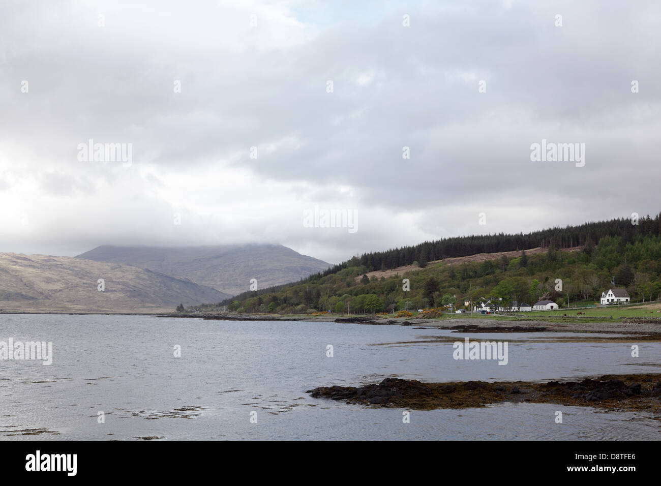 Loch Beg, Isle of Mull, Scotland, May 2013 Stock Photo - Alamy