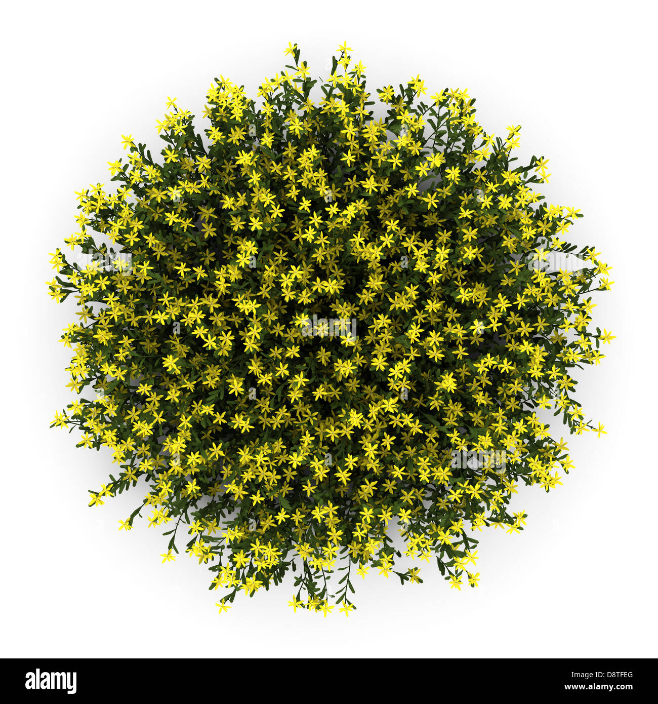 White broom hi-res stock photography and images - Alamy