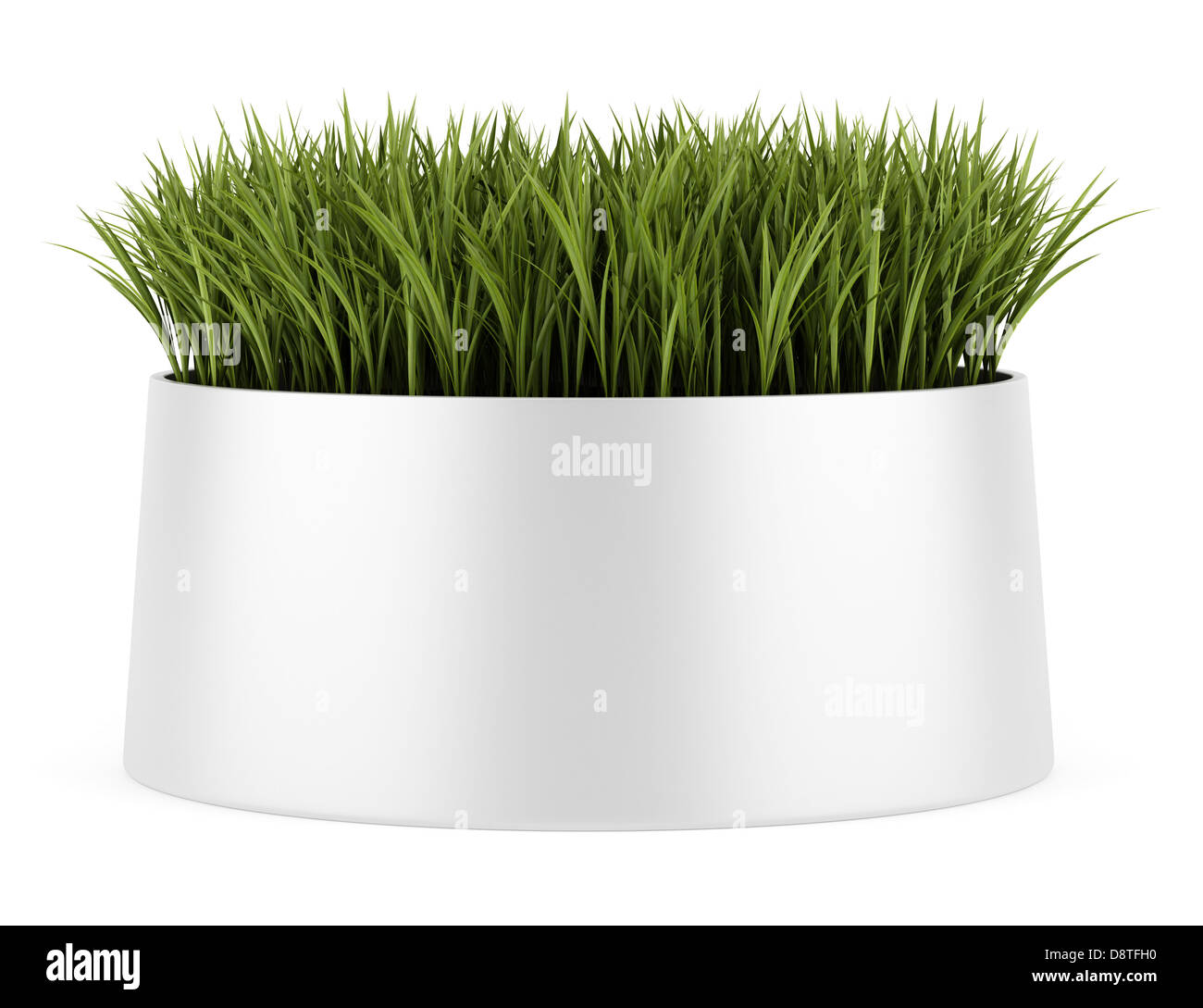 decorative grass in pot isolated on white Stock Photo - Alamy
