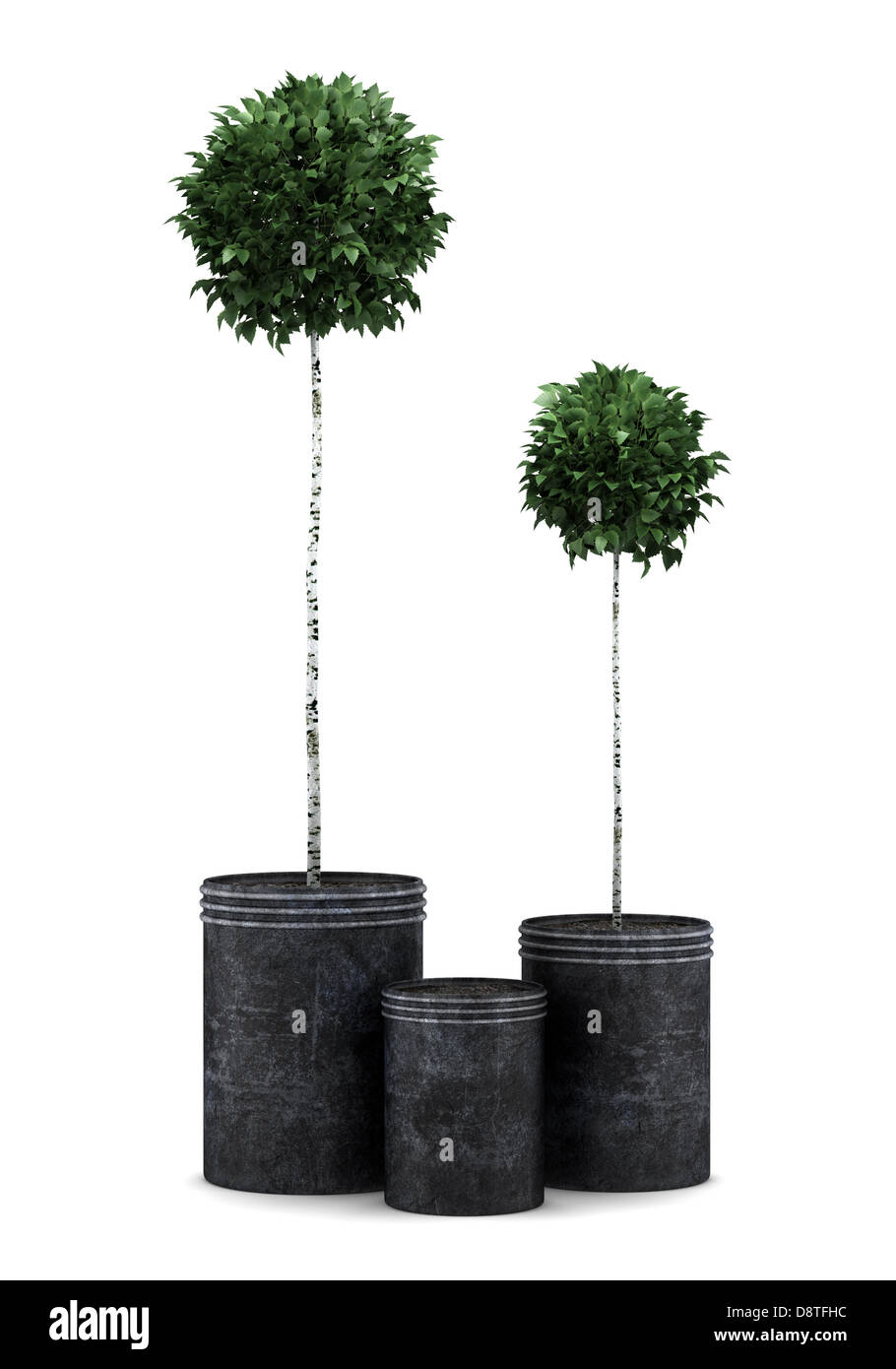 Potted trees hi-res stock photography and images - Alamy