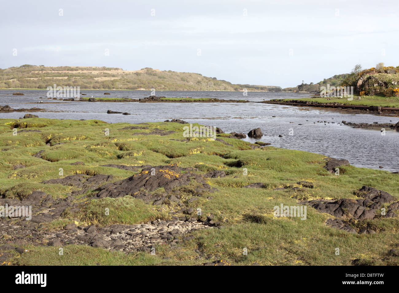 Dervaig, Isle of Mull, Scotland, May 2013 Stock Photo - Alamy