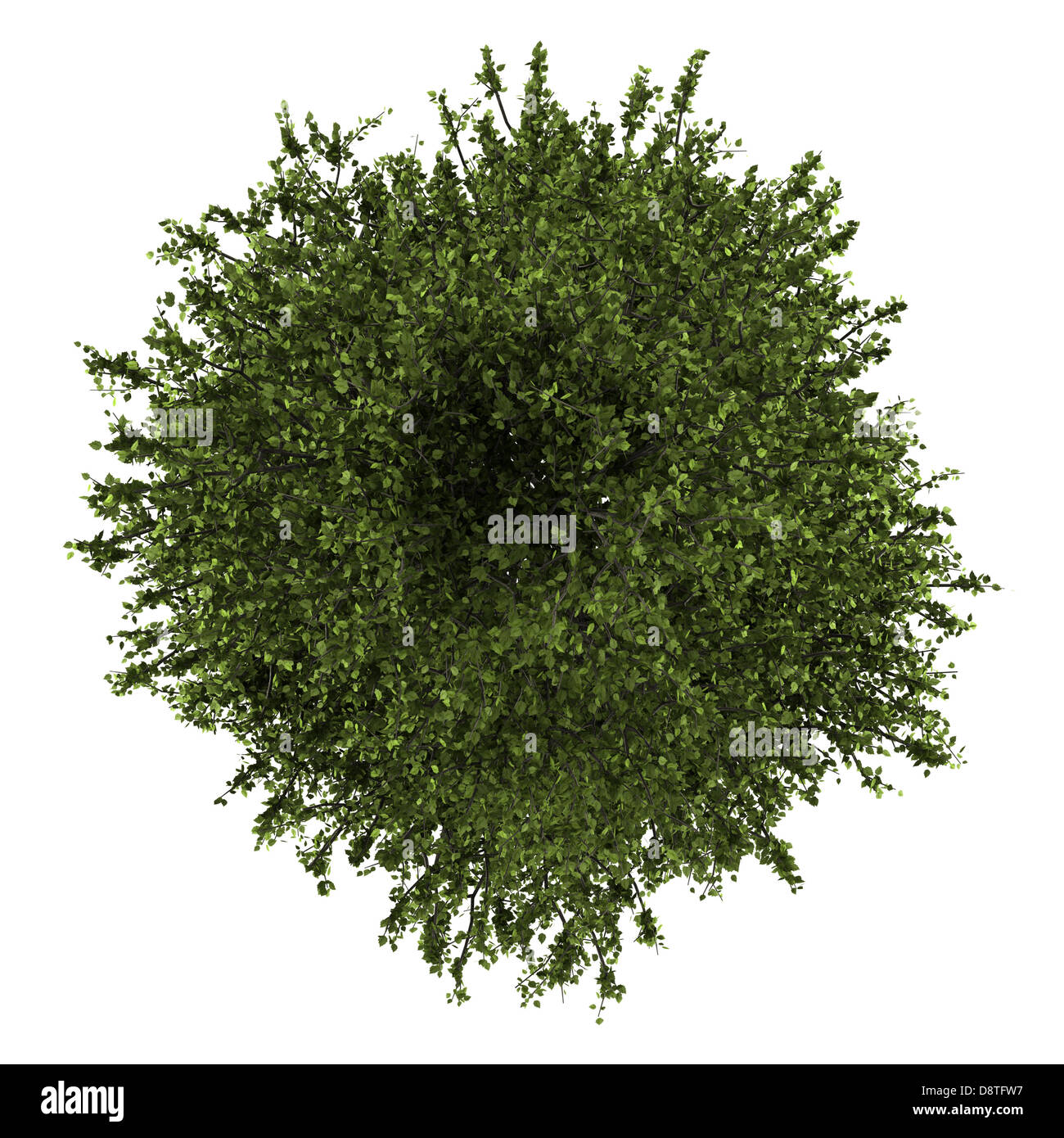 Common path Cut Out Stock Images & Pictures - Alamy